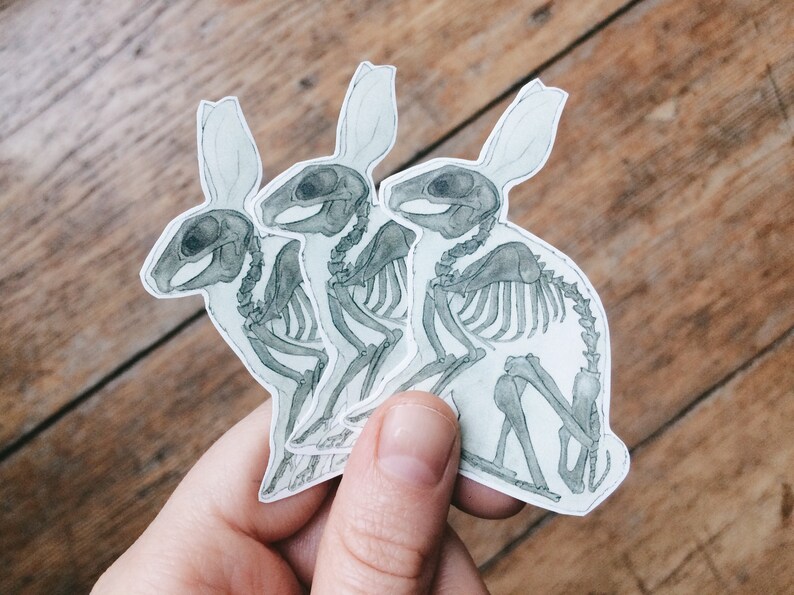 Rabbit Skeleton Sticker: Easter Bunny Anatomy White or - Etsy