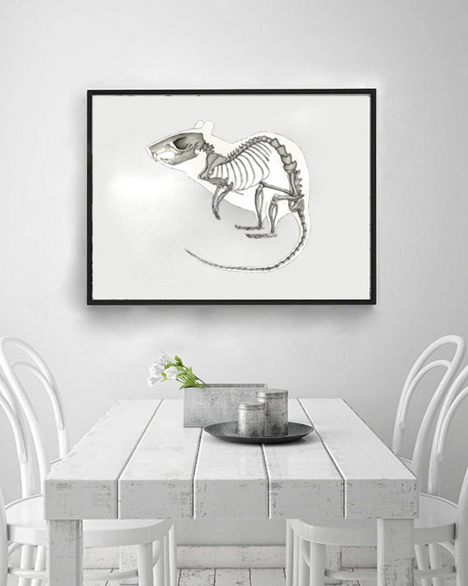 Rat Skeleton Print: Animal Print, Watercolor Anatomy Art, Unique Wall ...