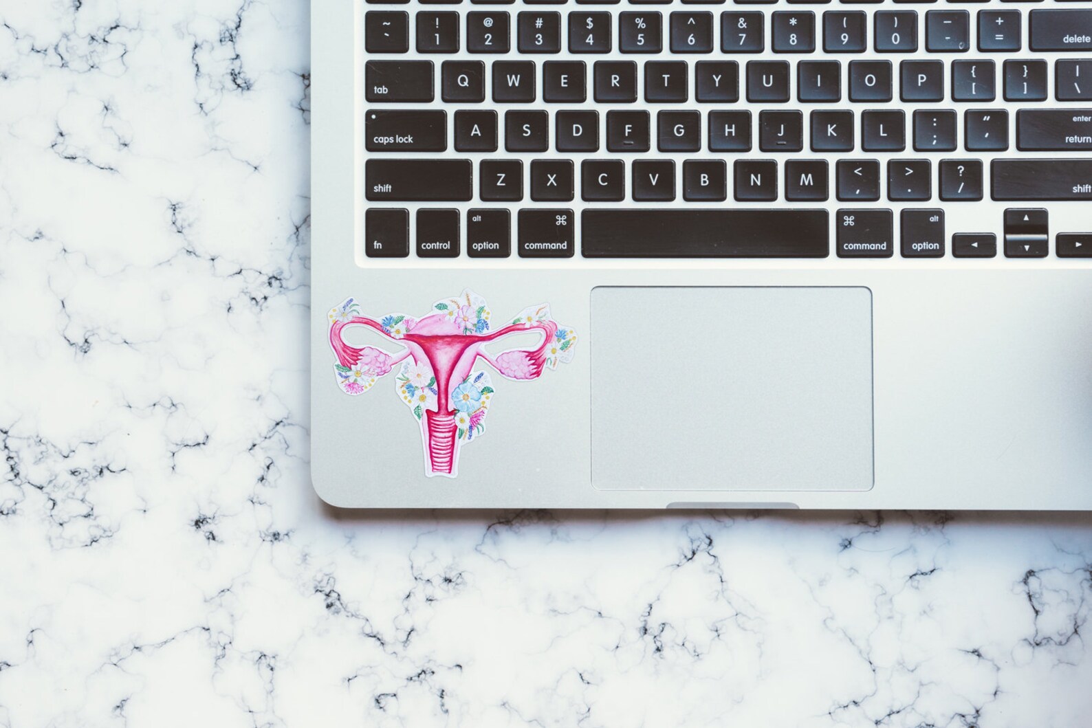 Floral Uterus Anatomy Sticker: Blooming Feminist Slaps Large - Etsy