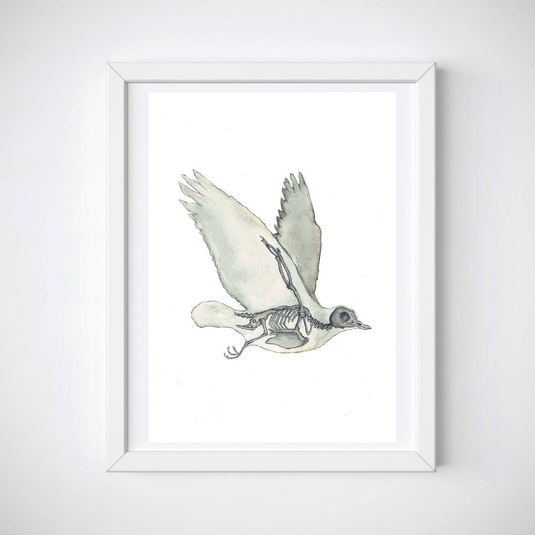 Dove Skeleton Watercolor Print | Anatomy Art Gift for Veterinarian - Etsy