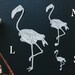 Flamingo Skeleton Sticker: Bird Animal Anatomy White or Transparent ...