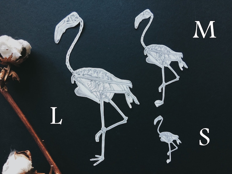 Flamingo Skeleton Sticker: Bird Animal Anatomy White or - Etsy