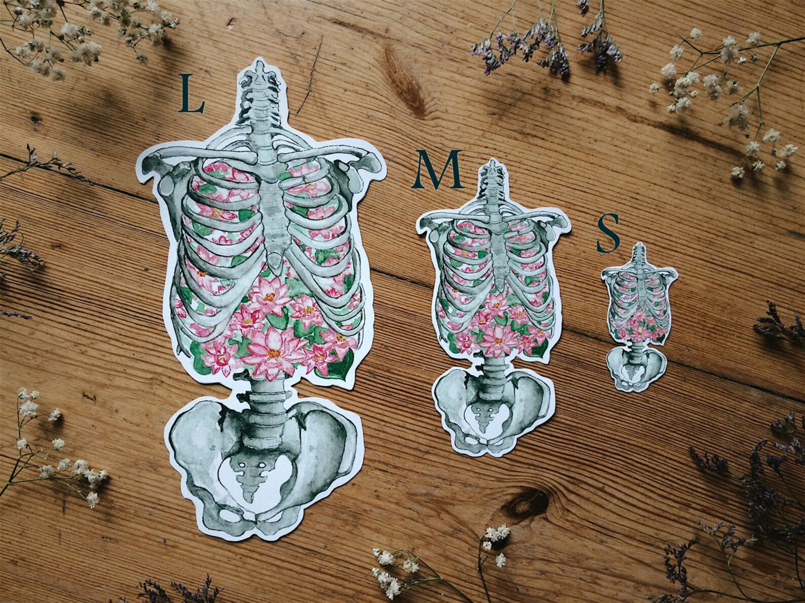 Mystery Anatomy Sticker Set: Anatomical Magic Grab Box | Etsy