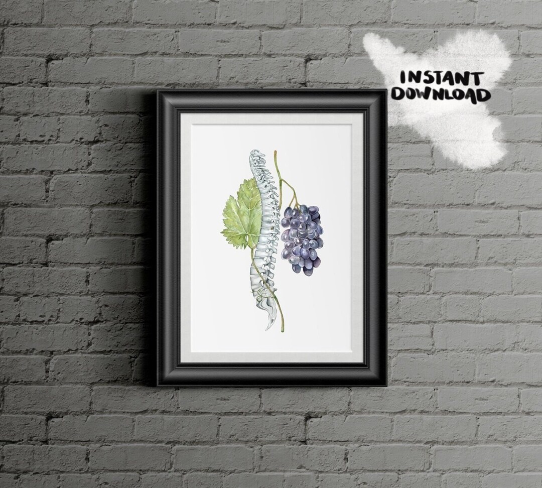 Spine With Grapes: Human Watercolor Skeleton, Tattoo Design, Doctor ...