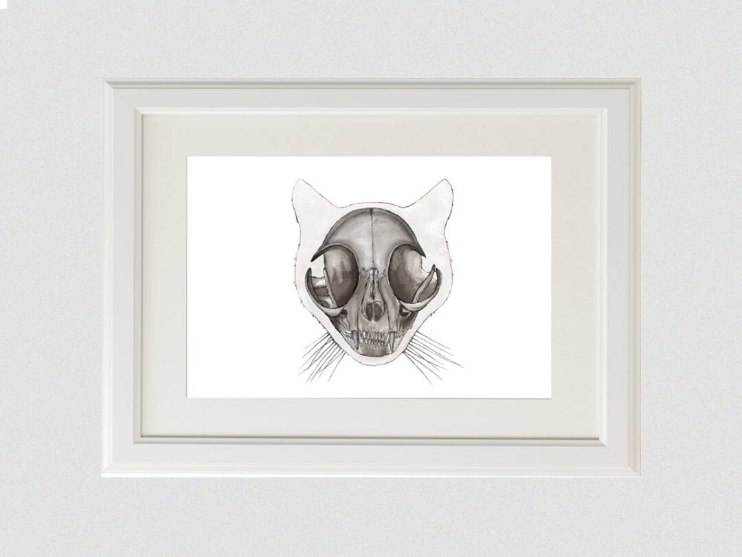 Cat Skull Print: Animal Skeleton Anatomical Wall Art - Etsy