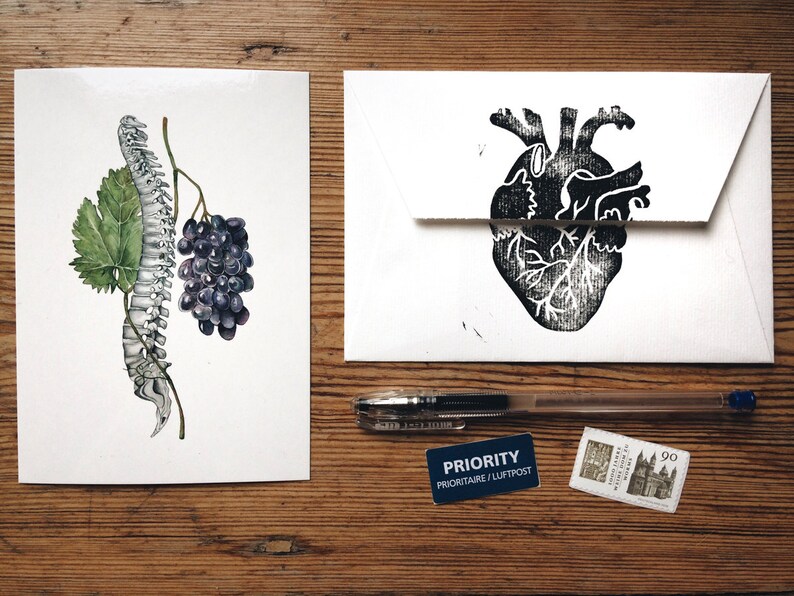 Spine With Grape Anatomy Postcard: Human Skeleton Botanical - Etsy