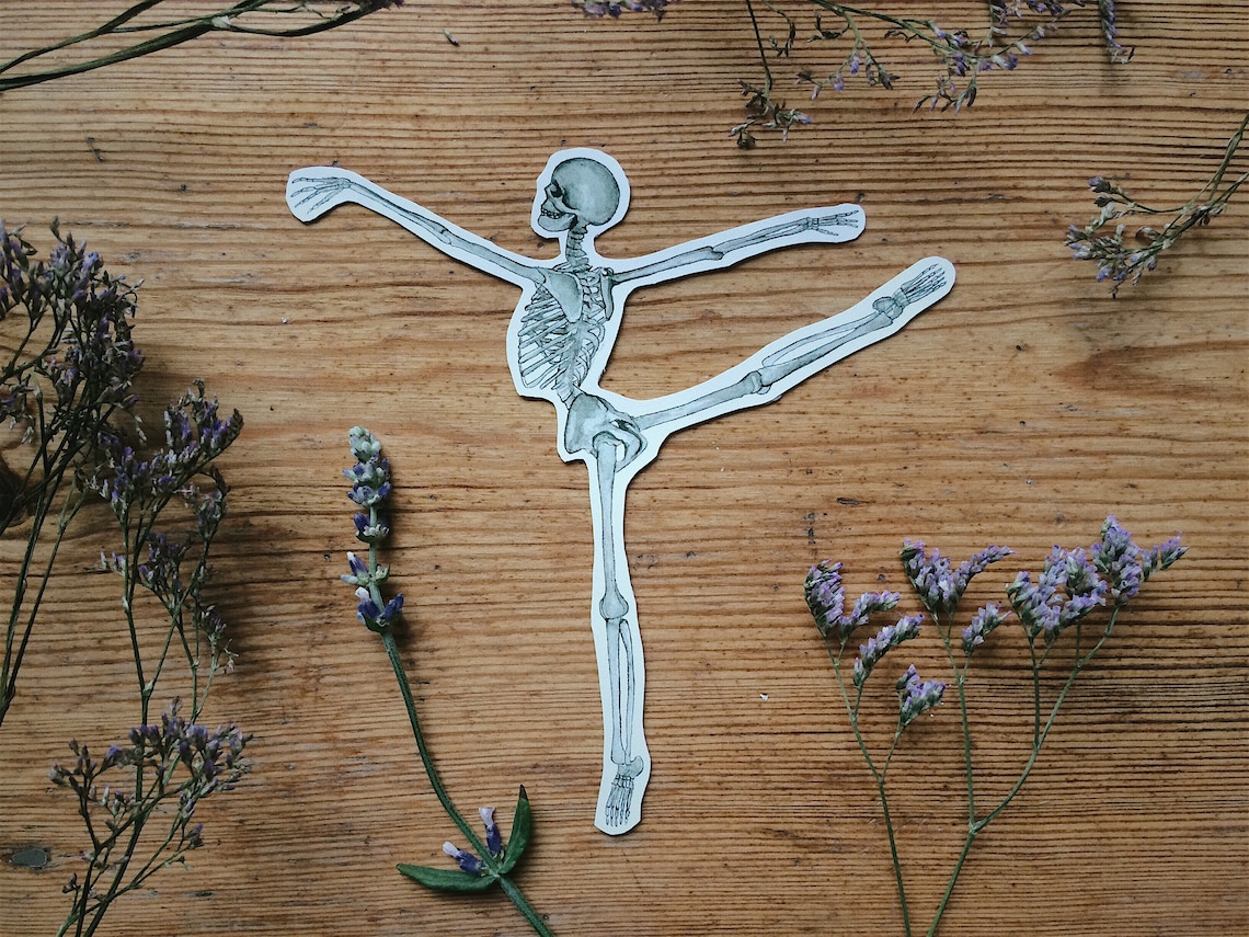 Ballerina Skeleton Fridge Magnet | Ballet Dancer Anatomy Gift | Oddity ...