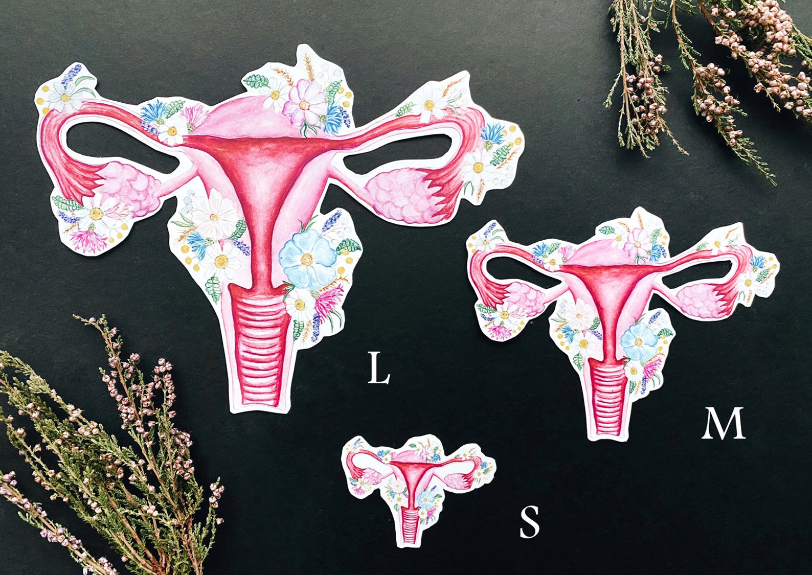 Floral Uterus Anatomy Sticker: Blooming Feminist Slaps Large - Etsy
