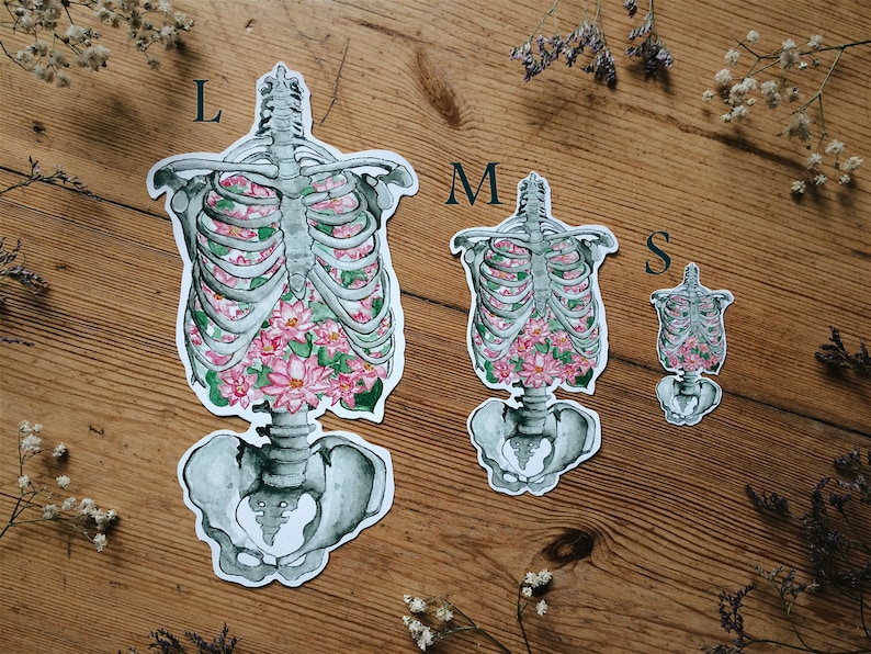 Human Anatomy Sticker Set: Pack of 10 Stickers FREE GIFT - Etsy