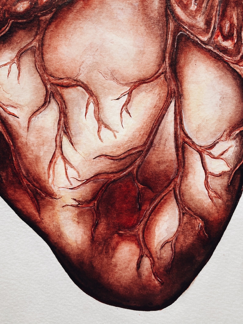 Human Heart Anatomy Painting: Anatomical Original Artwork Red | Etsy