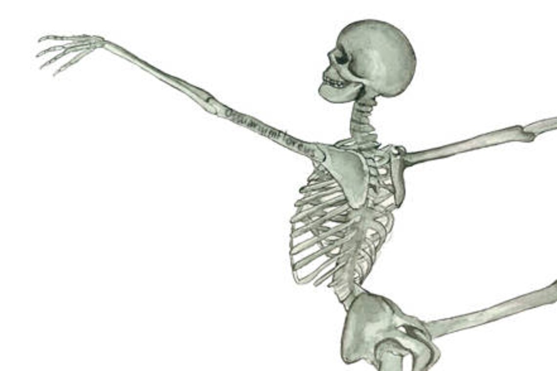 Ballerina Skeleton Painting PRINT: Anatomy of Dance Ballet - Etsy