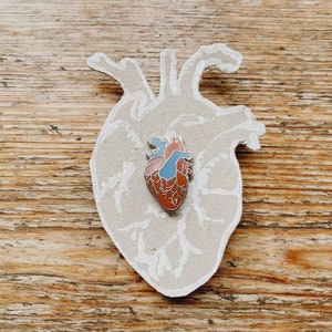 Set of Anatomical Human Heart Enamel Pin: Medical Anatomy Pin | Etsy
