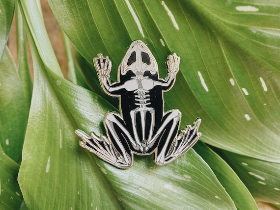 Black Frog Pin