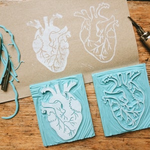 Human Heart Rubber Stamp: Hand Carved Anatomy Art - Etsy