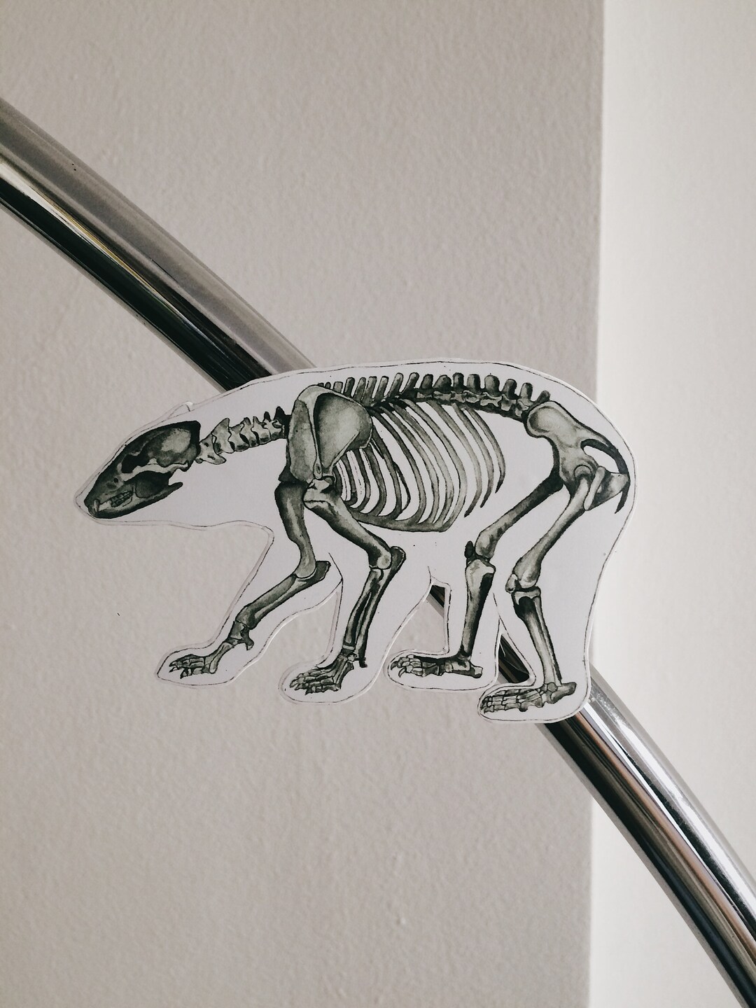 Bear Skeleton Fridge Magnet | Halloween Refrigerator Nice Gift | Creepy ...