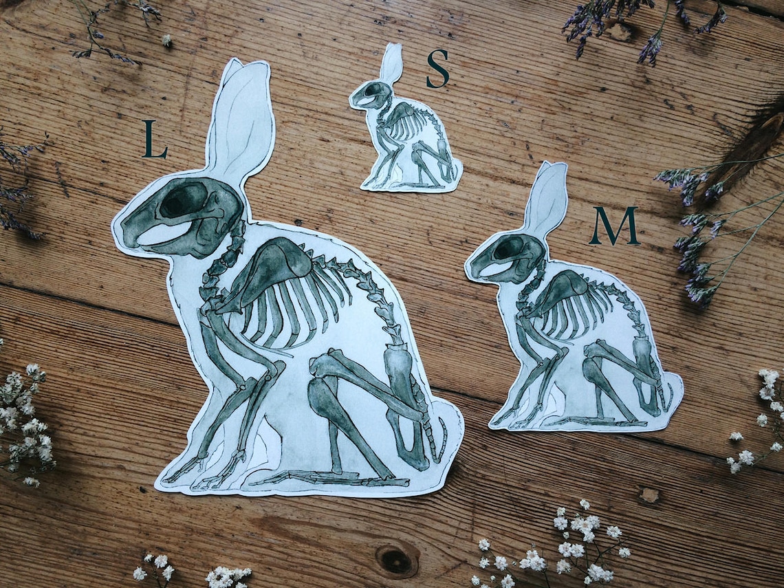 Rabbit Skeleton Sticker: Easter Bunny Anatomy White or Transparent ...