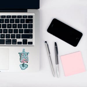 Rib Cage Anatomy Sticker: Pink Flower Gift Human Skeleton - Etsy