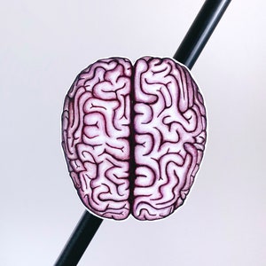 Human Brain Fridge Magnet: Anatomy Art, Anatomical Gift, Gothic Magnet ...