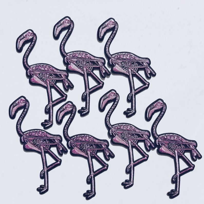Flamingo Skeleton Anatomical Patch: Pink Bird Anatomy, Animal ...