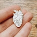 Set of Anatomical Human Heart Enamel Pin: Medical Anatomy Pin ...
