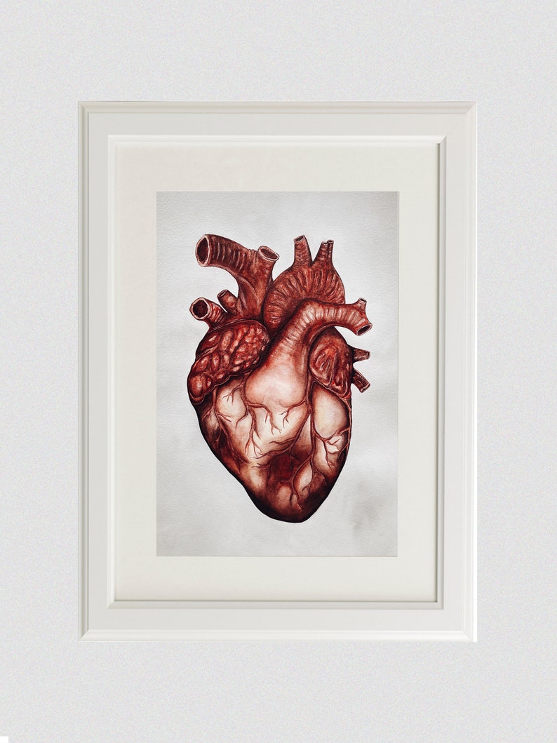 Pintura de anatomía del corazón humano: arte original | Etsy