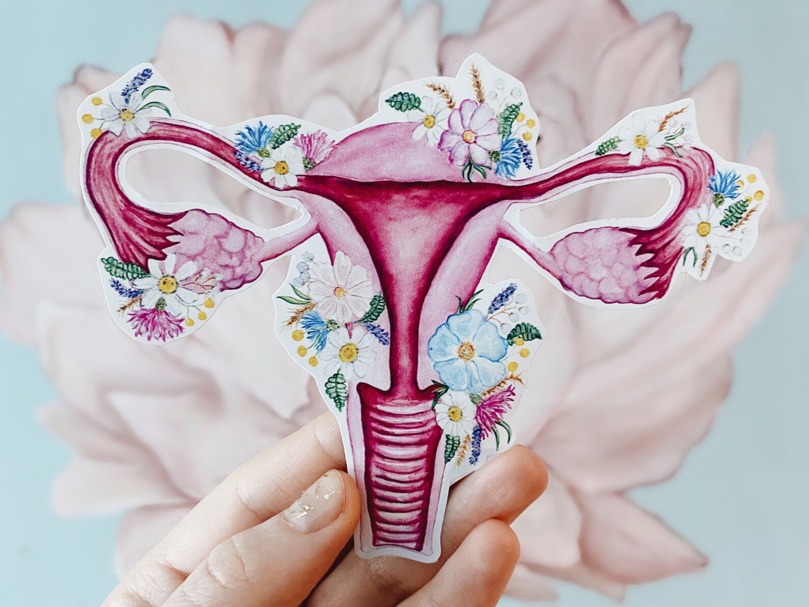 Floral Uterus Anatomy Sticker: Blooming Feminist Slaps Large - Etsy