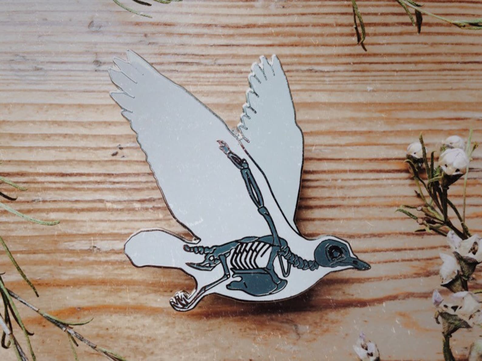 Bird Skeleton Hard Enamel Pin: Anatomical Dove Badge - Etsy