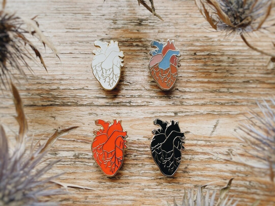 Set of Anatomical Human Heart Enamel Pin: Medical Anatomy Pin - Etsy