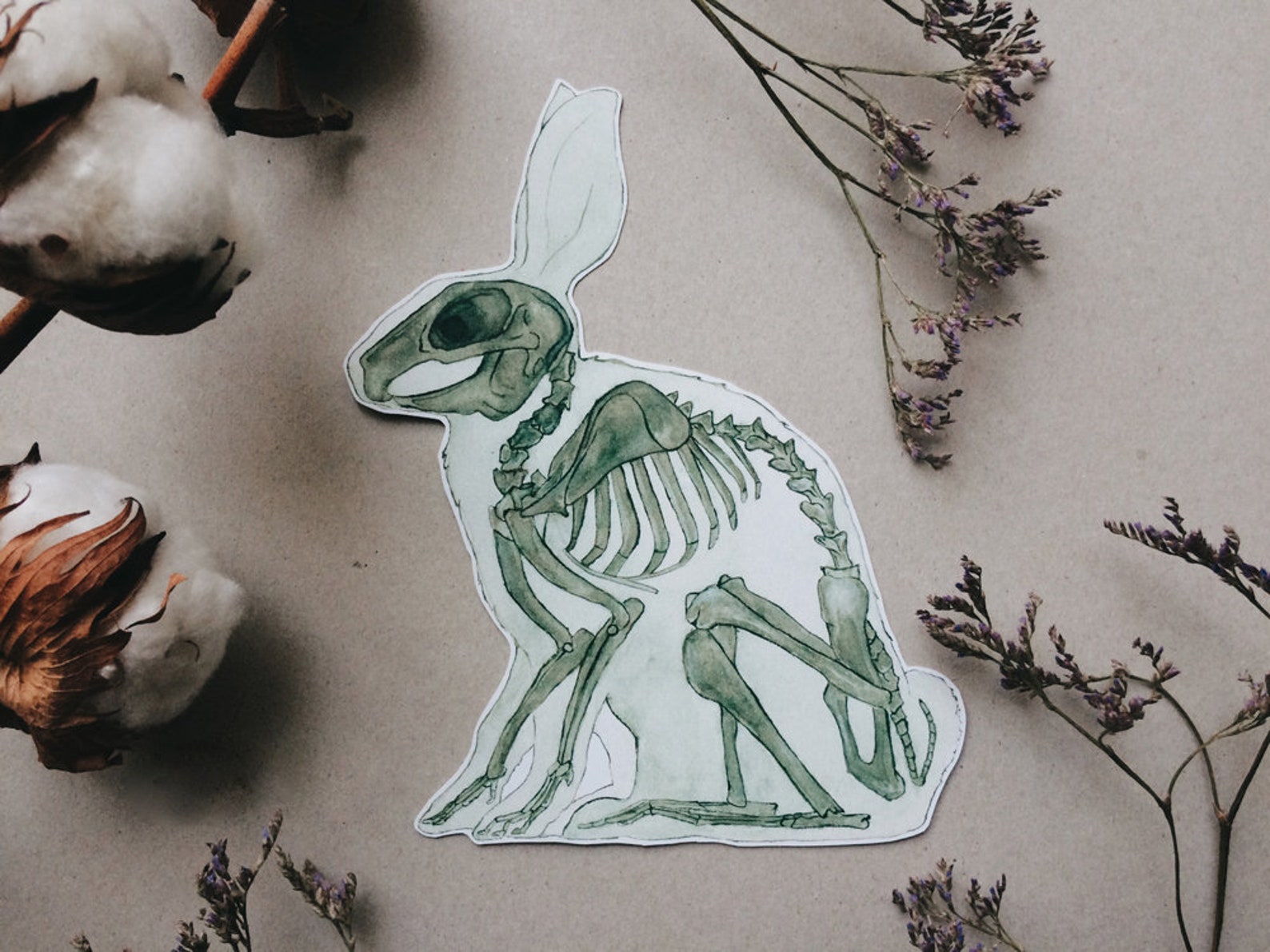 Rabbit Skeleton Sticker: Easter Bunny Anatomy White or - Etsy