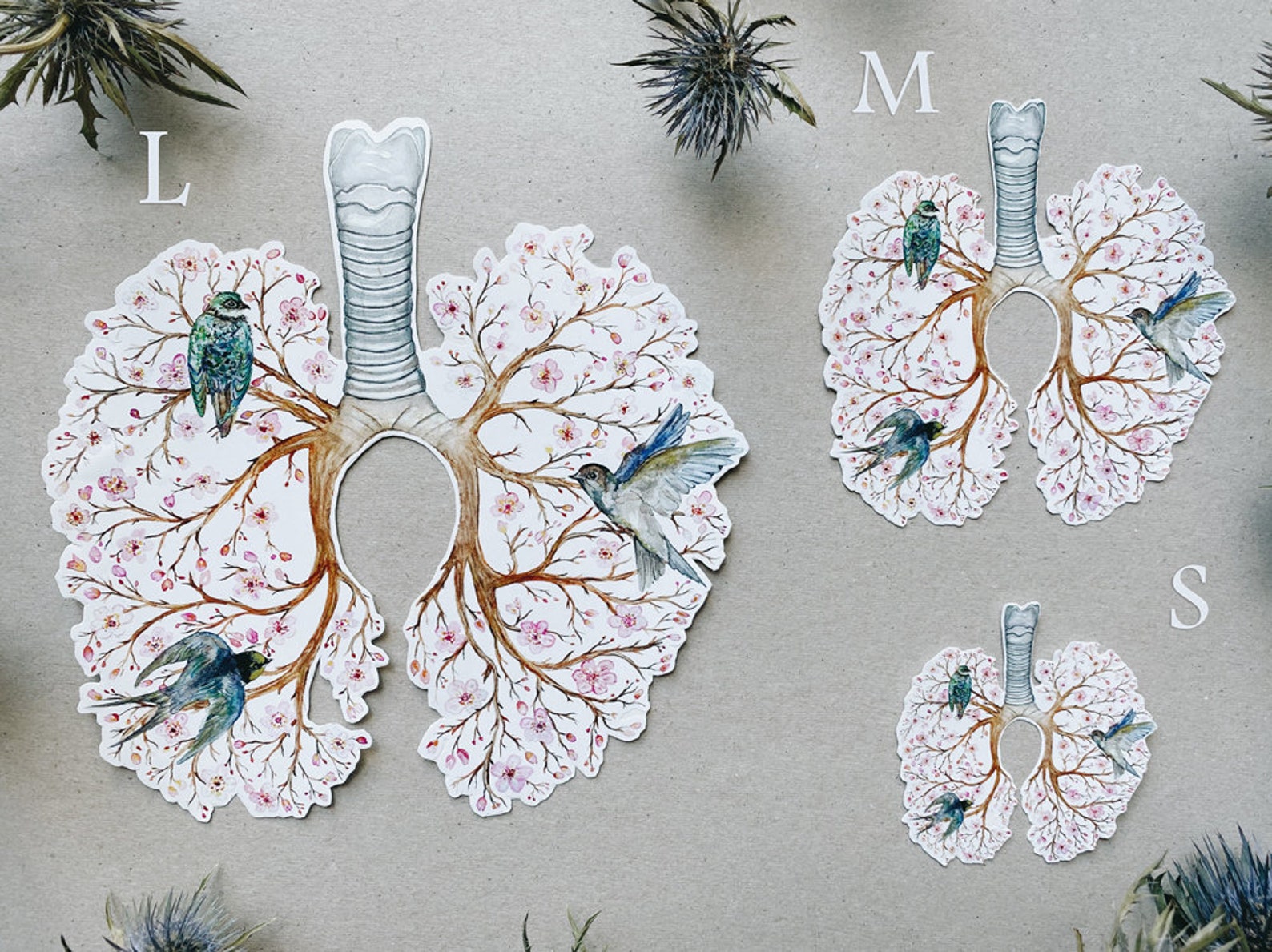 Mystery Anatomy Sticker Set: Anatomical Magic Grab Box | Etsy