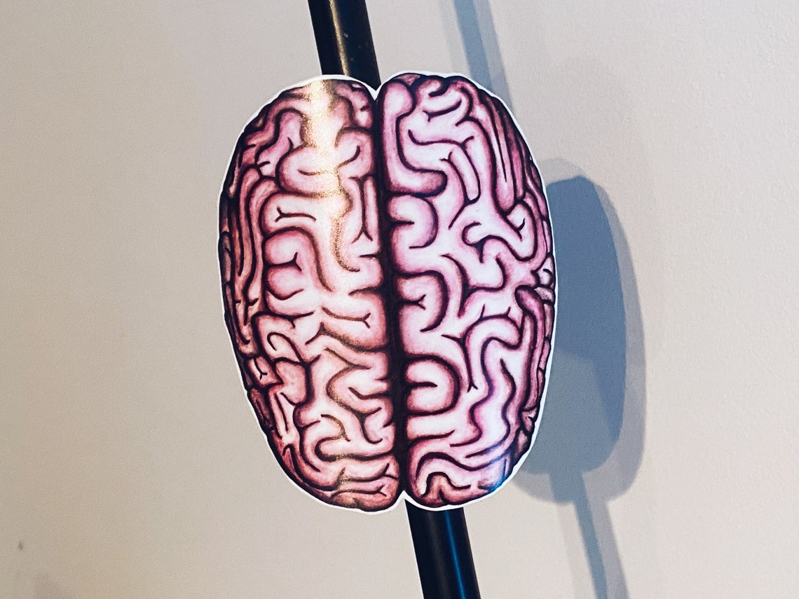 Glowing Brain Anatomy Fridge Magnet: Glowing in the Dark - Etsy