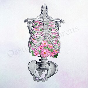 Rib Cage Anatomy Painting | Christmas Fairytale Gift Lung Skeleton ...