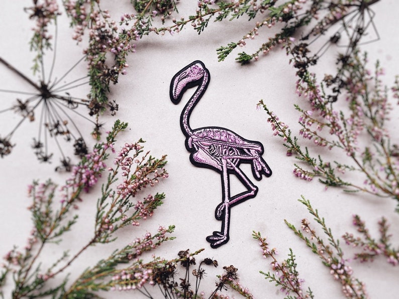 Flamingo Skeleton Anatomical Patch: Pink Bird Anatomy, Animal ...