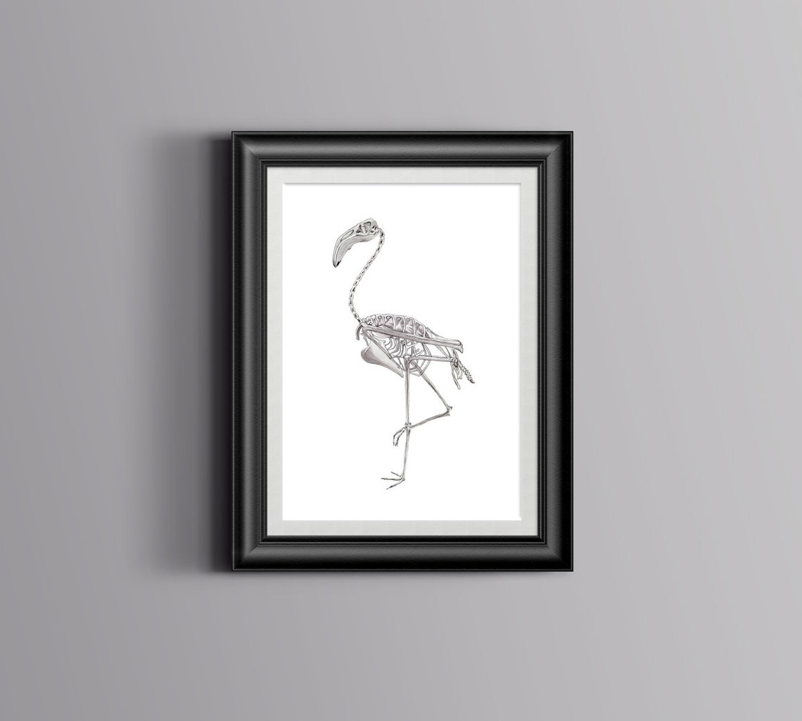 Flamingo Skeleton Print: Bird Animal Anatomy Gothic Home - Etsy