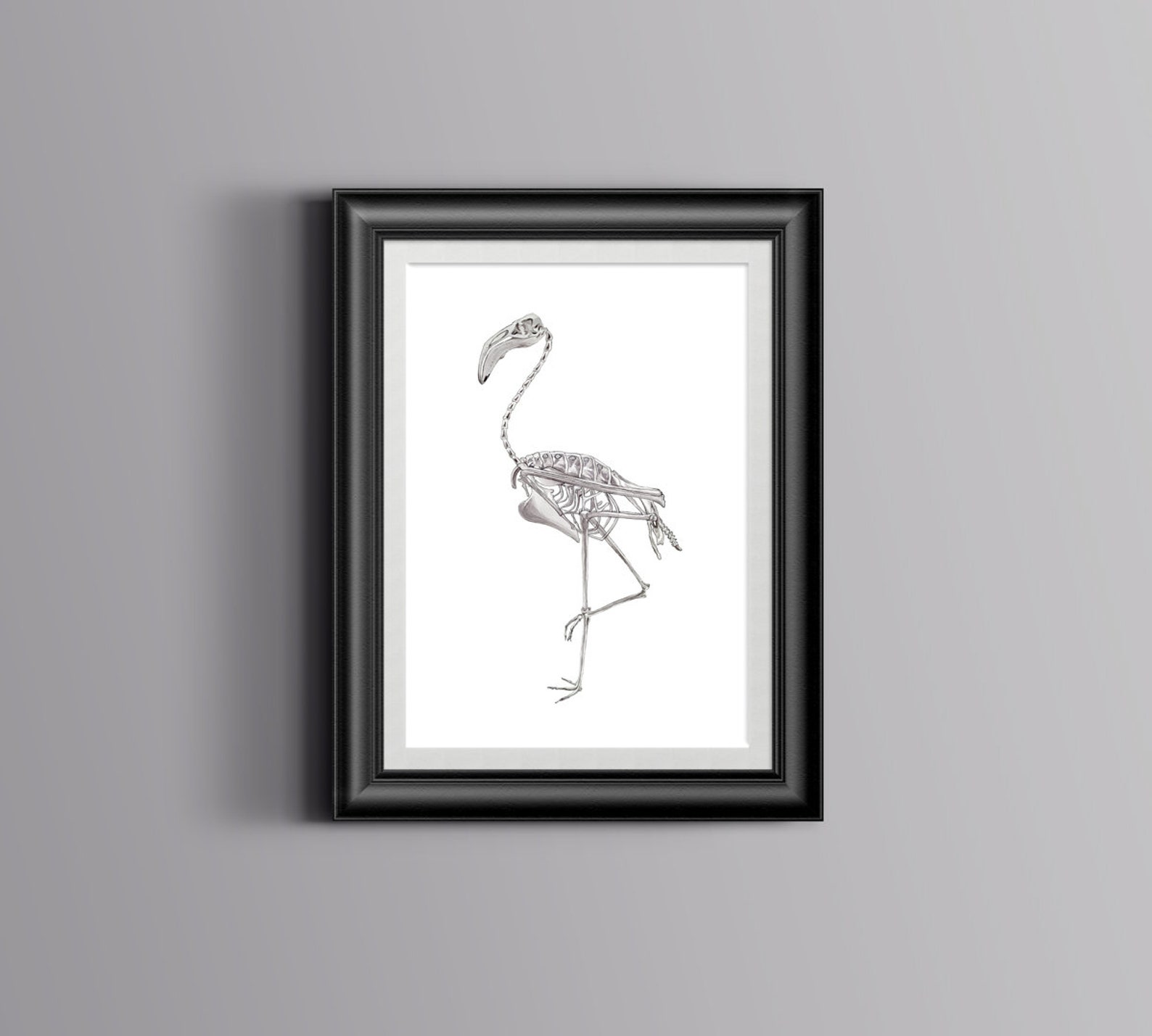 Flamingo Skeleton Print: Bird Animal Anatomy Gothic Home - Etsy