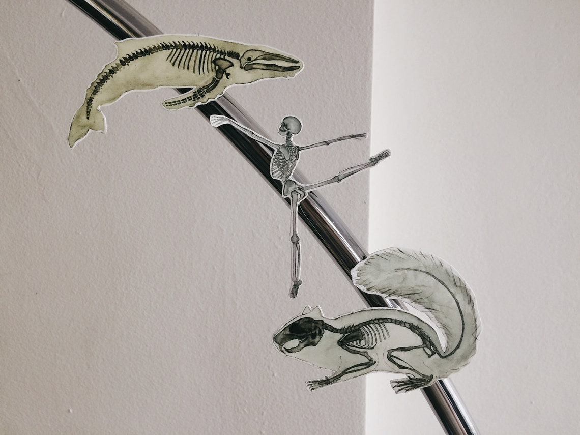 Ballerina Skeleton Fridge Magnet Ballet Dancer Anatomy Gift - Etsy