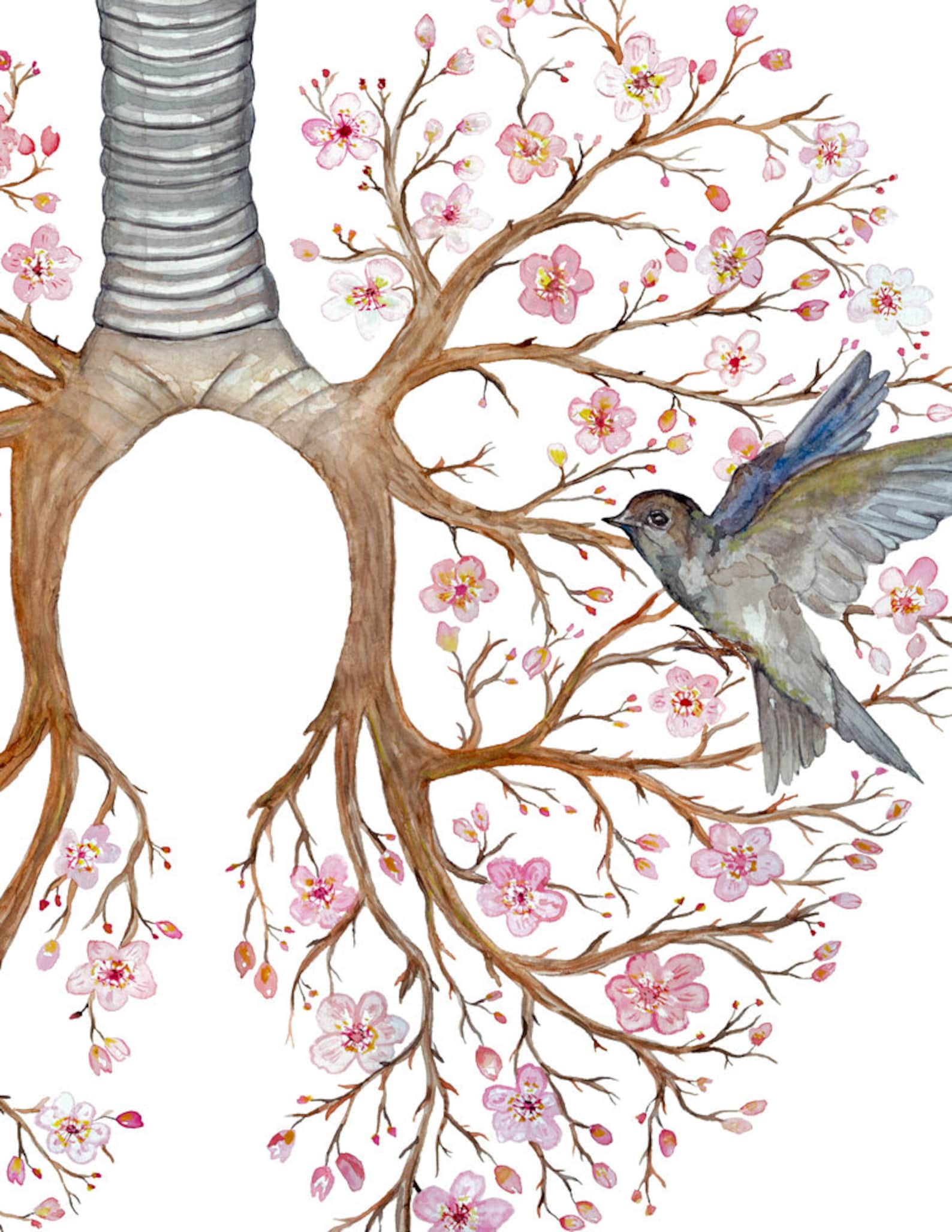 Lungs in Spring Anatomy Postcard: Floral Botanical - Etsy