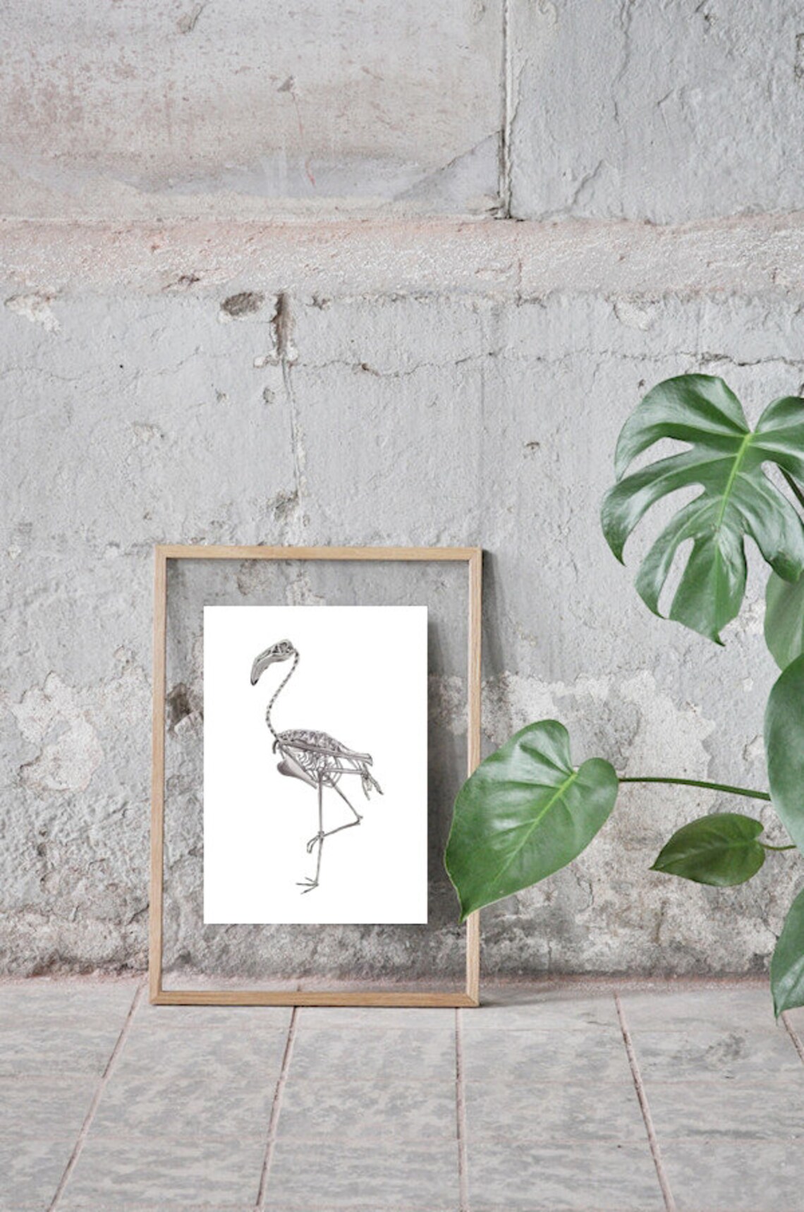Flamingo Skeleton Print: Bird Animal Anatomy, Gothic Home Decor - Etsy