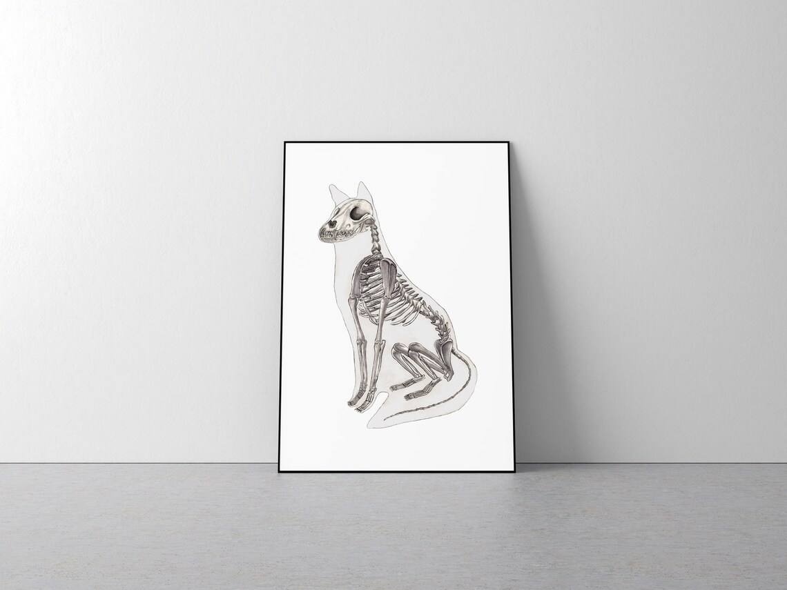 Fox Skeleton Art Print: Anatomy Wall Artwork, Watercolor Print, Animal ...