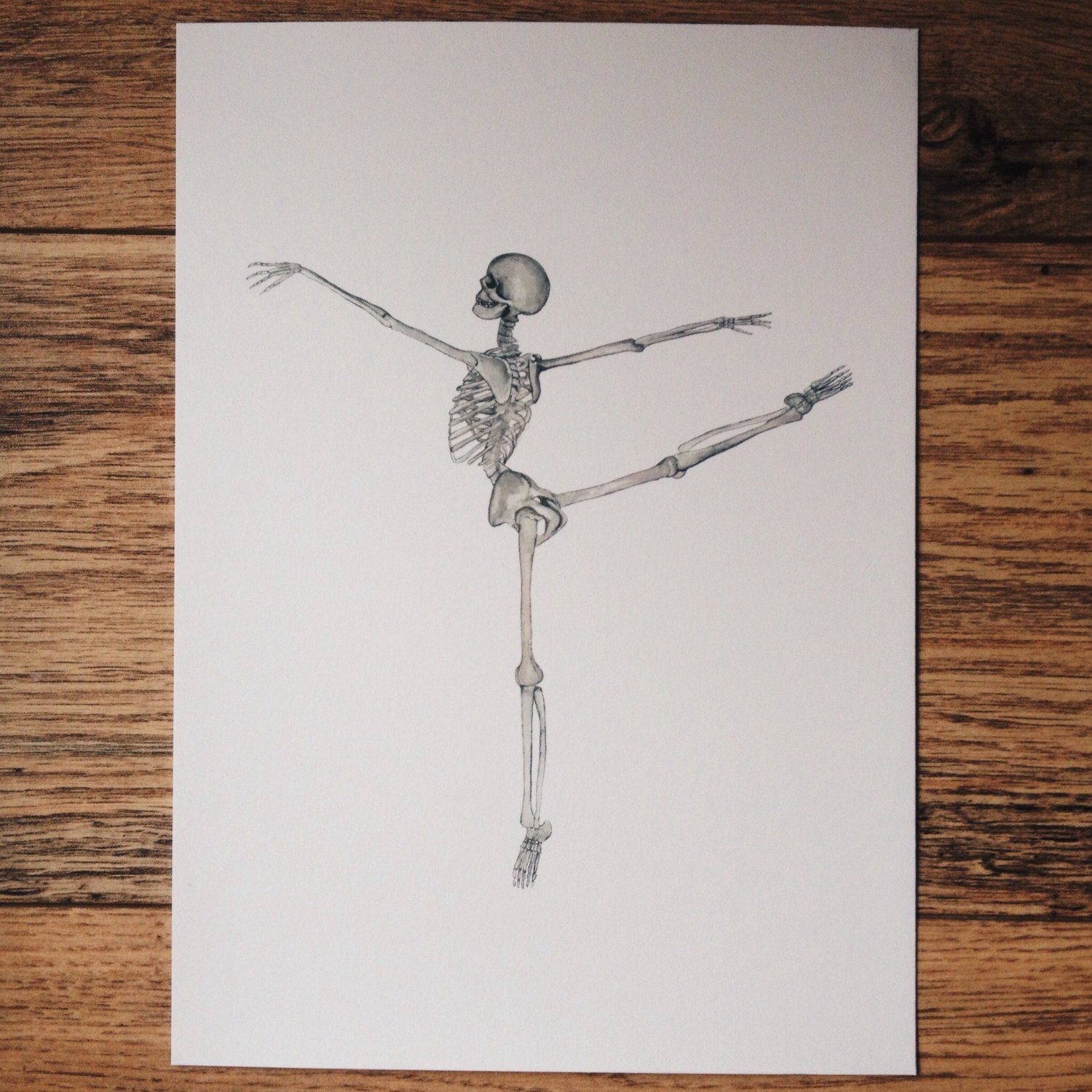 Ballerina Skeleton Painting PRINT: Anatomy of Dance Ballet - Etsy
