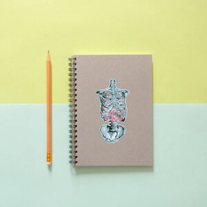 Rib Cage Anatomy Sticker: Pink Flower Gift Human Skeleton - Etsy