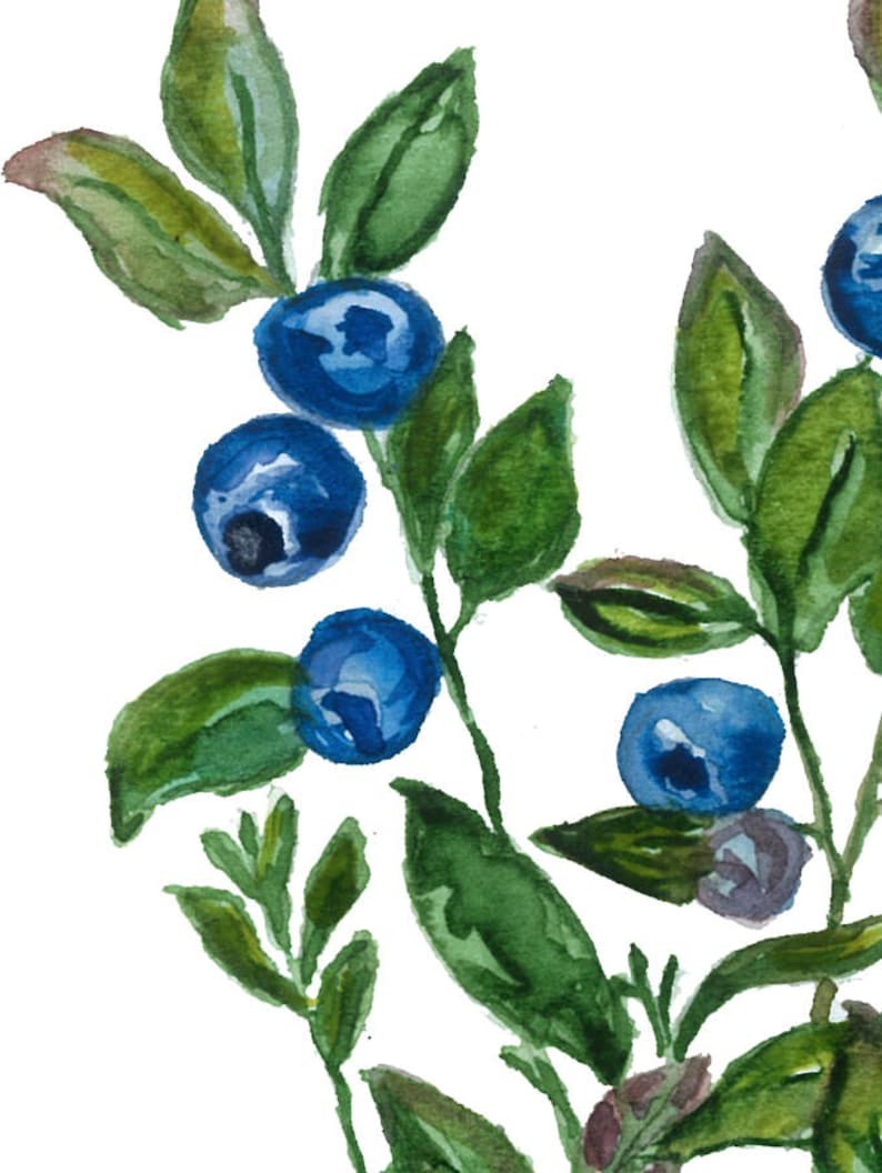 Blueberry Wall Art Digital Print Nature Watercolor Painting | Etsy