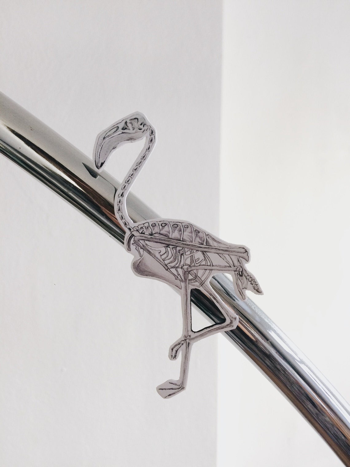 Flamingo Skeleton Fridge Magnet: Bird Anatomy Refrigerator Magnet - Etsy