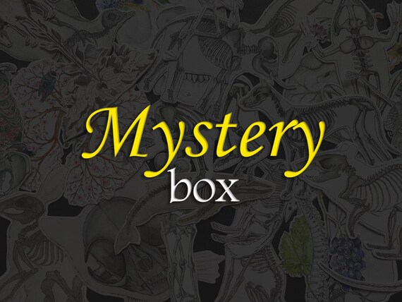 mystery print and stickers Mystery box surprise box Paper Paper & Party ...