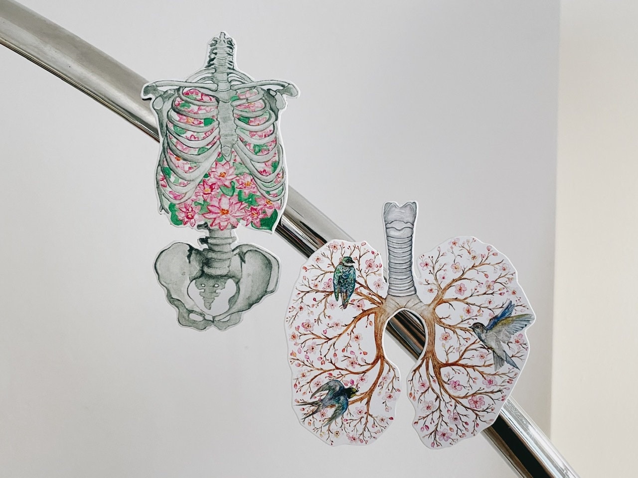 Set of 3 5 7 Anatomy Fridge Magnet: Human Body Art Pack of - Etsy