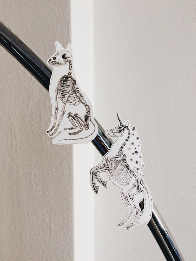 Set of 3 5 7 Anatomy Fridge Magnet: Human Body Art Pack of - Etsy