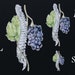 Spine With Grape Sticker: Human Anatomy Decal, 3 Sizes, Floral Skeleton ...
