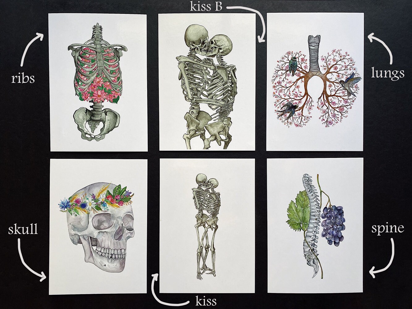 Brain Anatomy Postcard: Anatomical Card, Unique Medical Watercolor ...