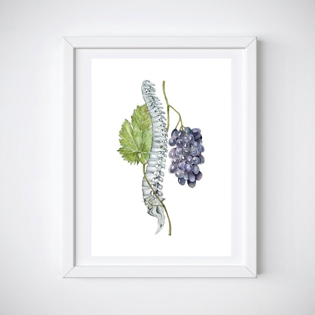 Spine With Grapes Print: Backbone Skeleton, Human Anatomy, Watercolor ...