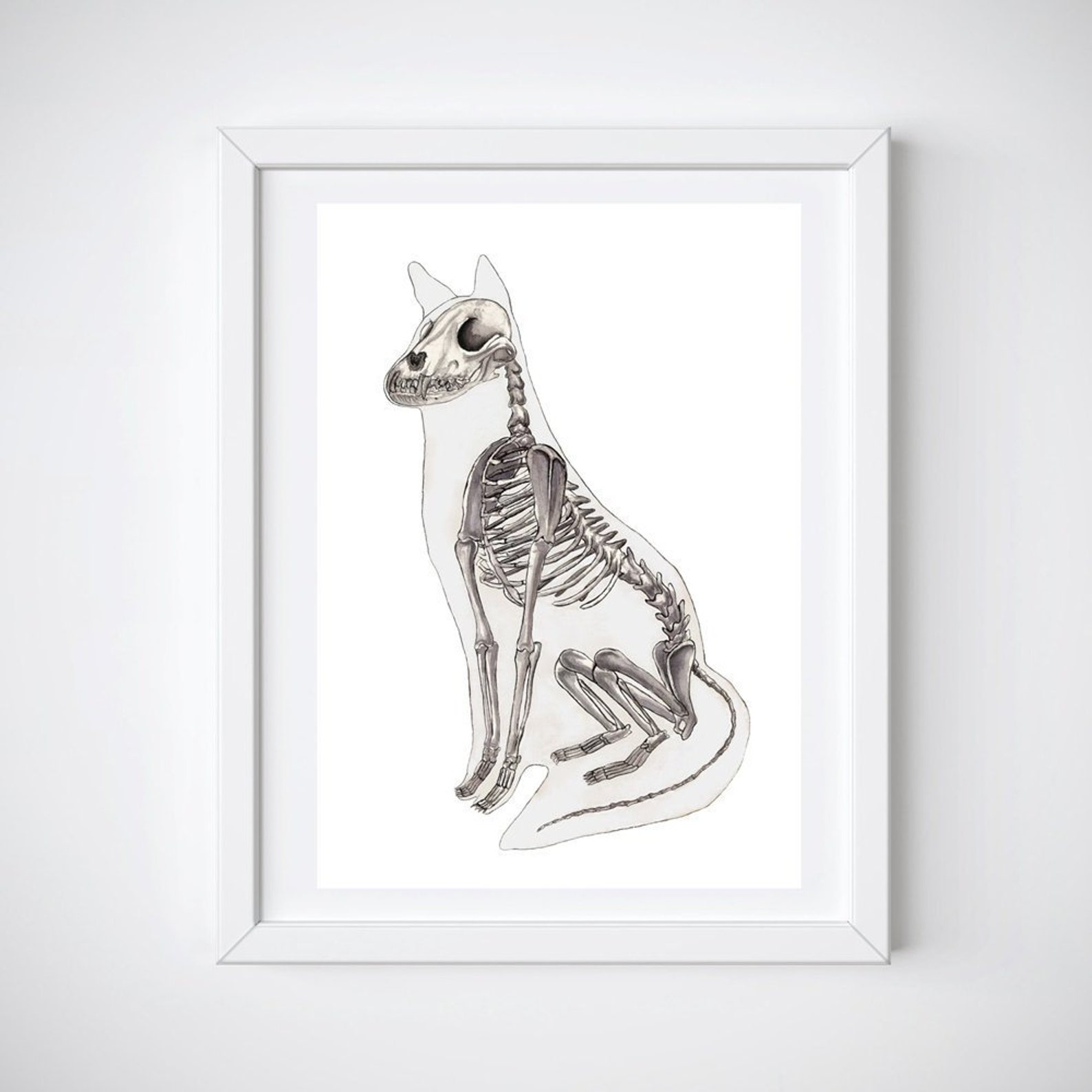 Fox Skeleton Art Print: Anatomy Wall Artwork Watercolor - Etsy